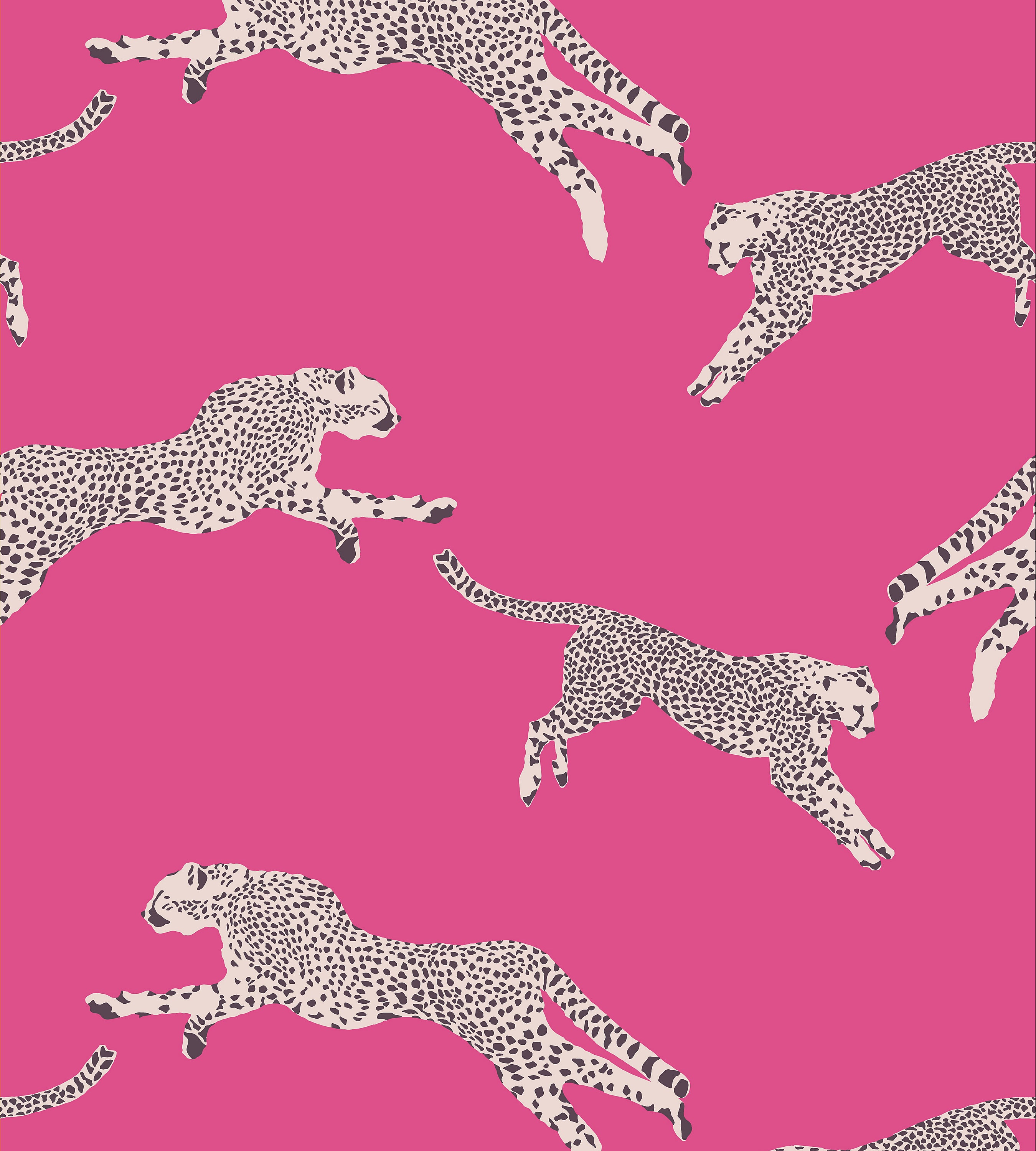 SCWP88449D0003 | Leaping Cheetah, Bubblegum - Scalamandre Wallpaper