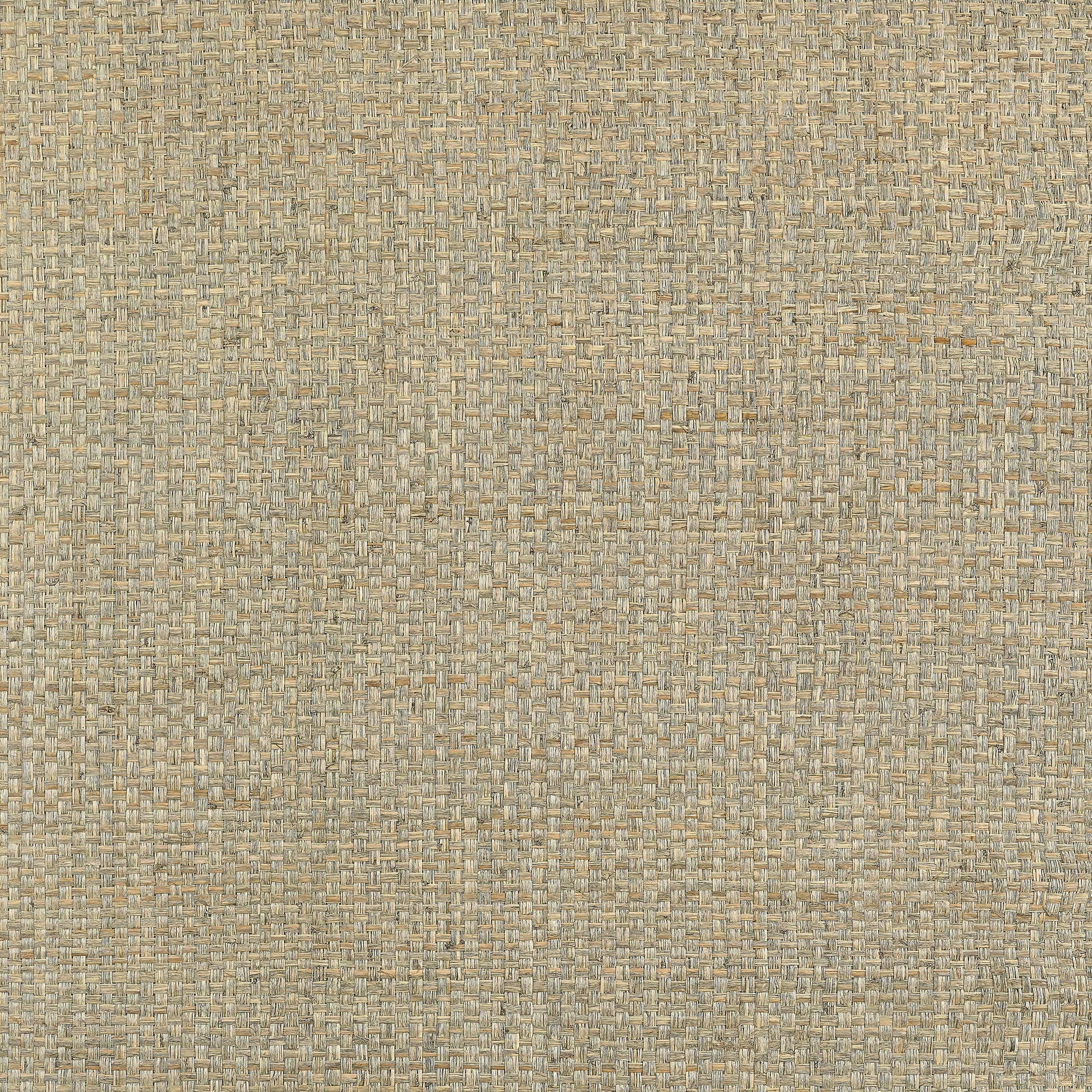 Sample - Only Thibaut Wallpaper Pattern number T19605 pattern name Lau