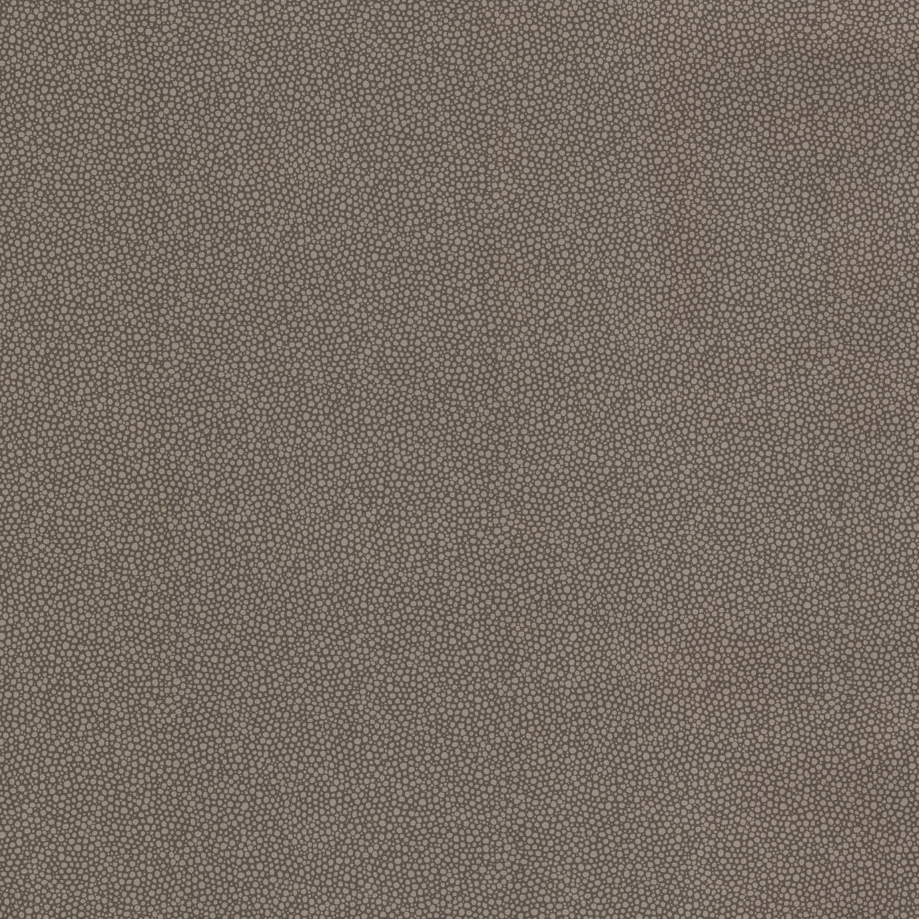 499-20025 | Ez Hang Textures VI, Spore - Brewster Wallpaper
