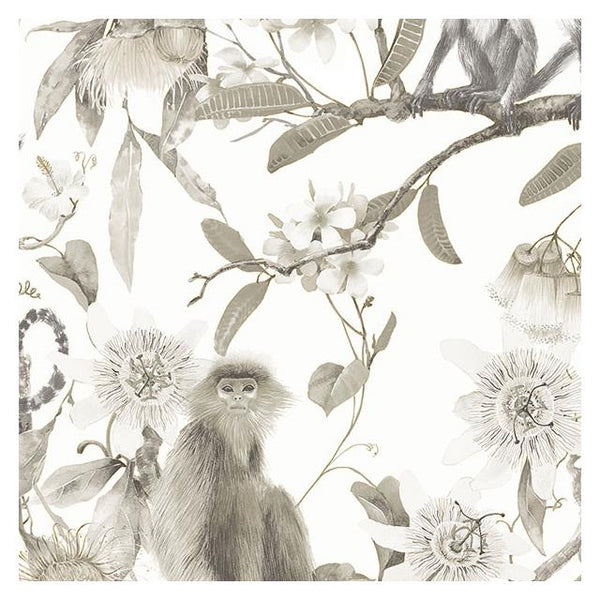 G67959 | Organic Textures, Beige Lemur Wallpaper - Norwall