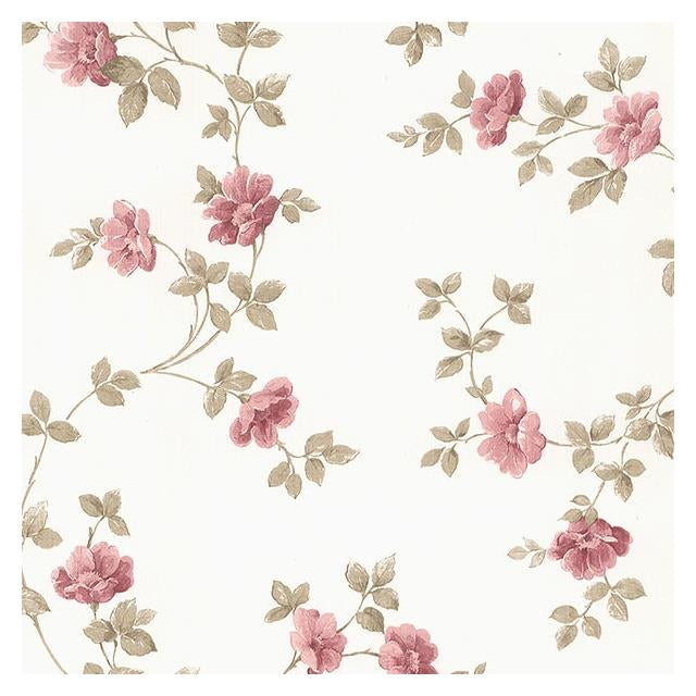 CN24642 | Pretty Prints 4 - Norwall Wallpaper