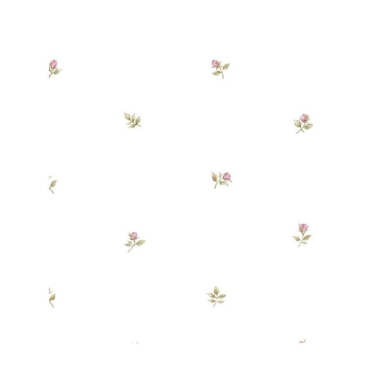 Sample CG28872 Rose Garden 2 Norwall Wallpaper