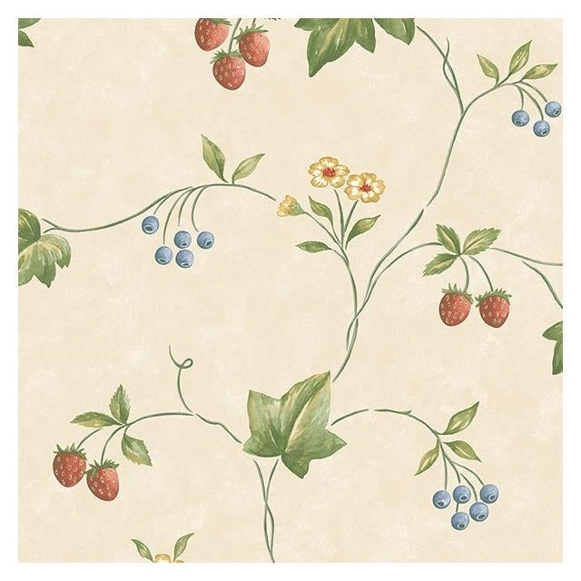 KE29900 | Kitchen Elements by Norwall | Norwall Wallpaper
